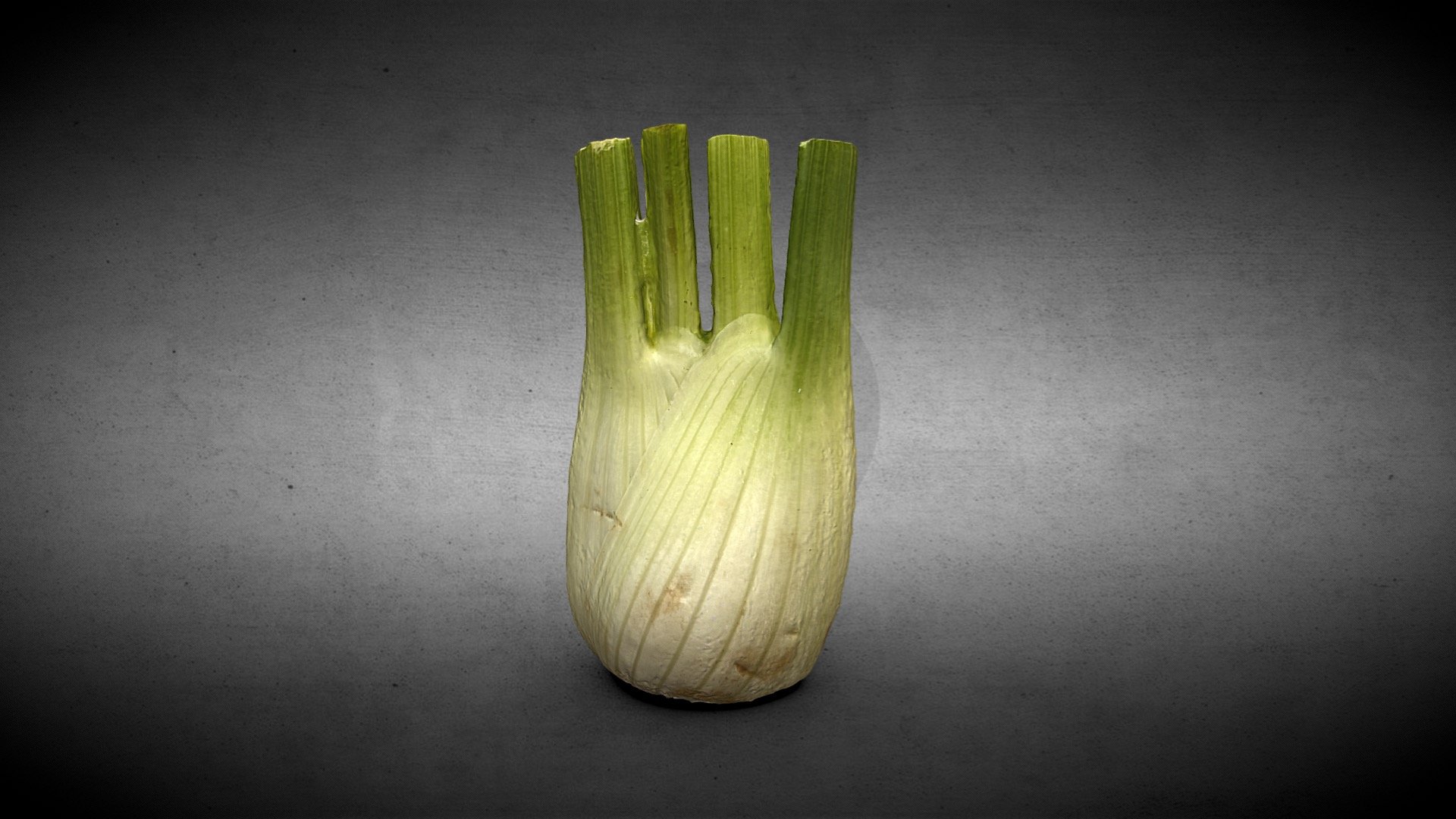 Fennel - Download Free 3D model by Moshe Caine (@moshecaine) [31f5683 ...