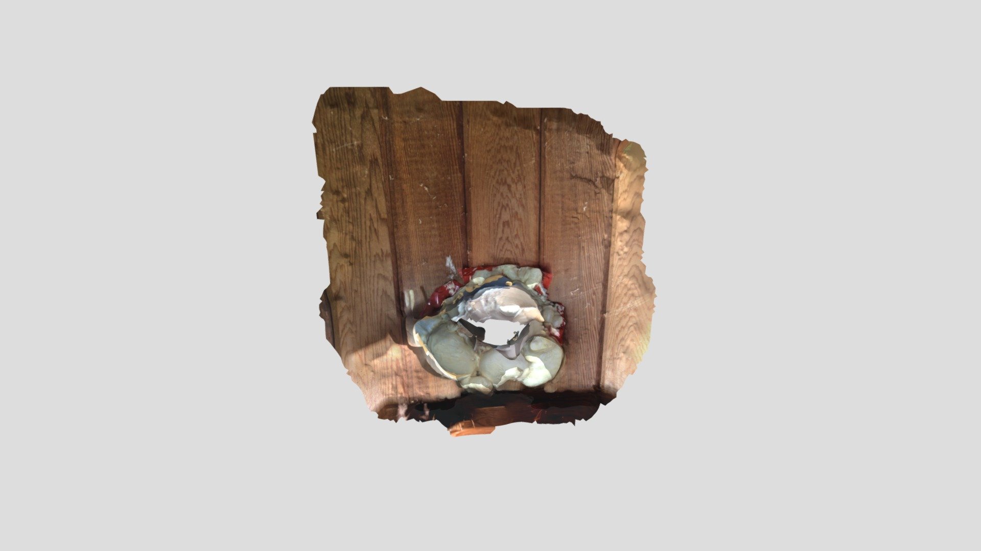 Original 3D scan - Download Free 3D model by pngriba [31f7fba] - Sketchfab