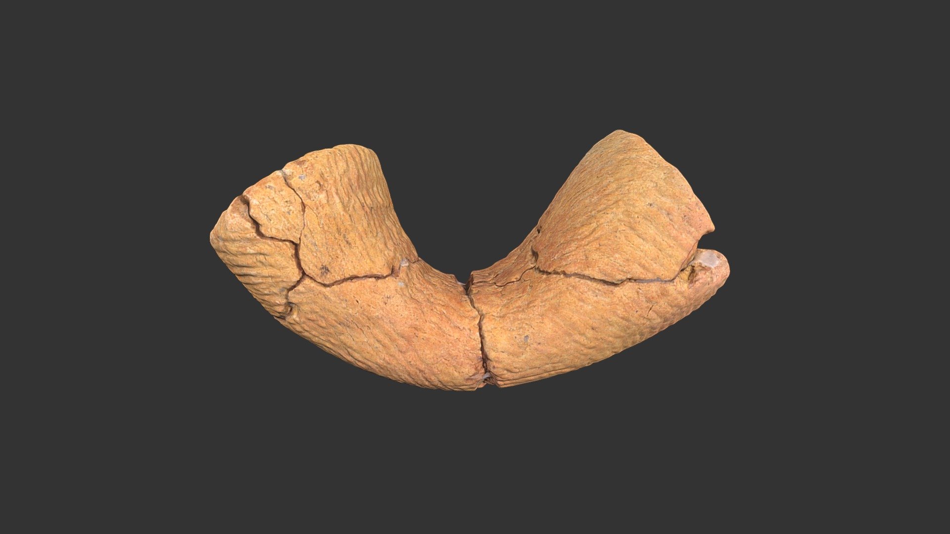 Clay Pipe #1 (OSA 230030a61) - Download Free 3D model by RLA ...