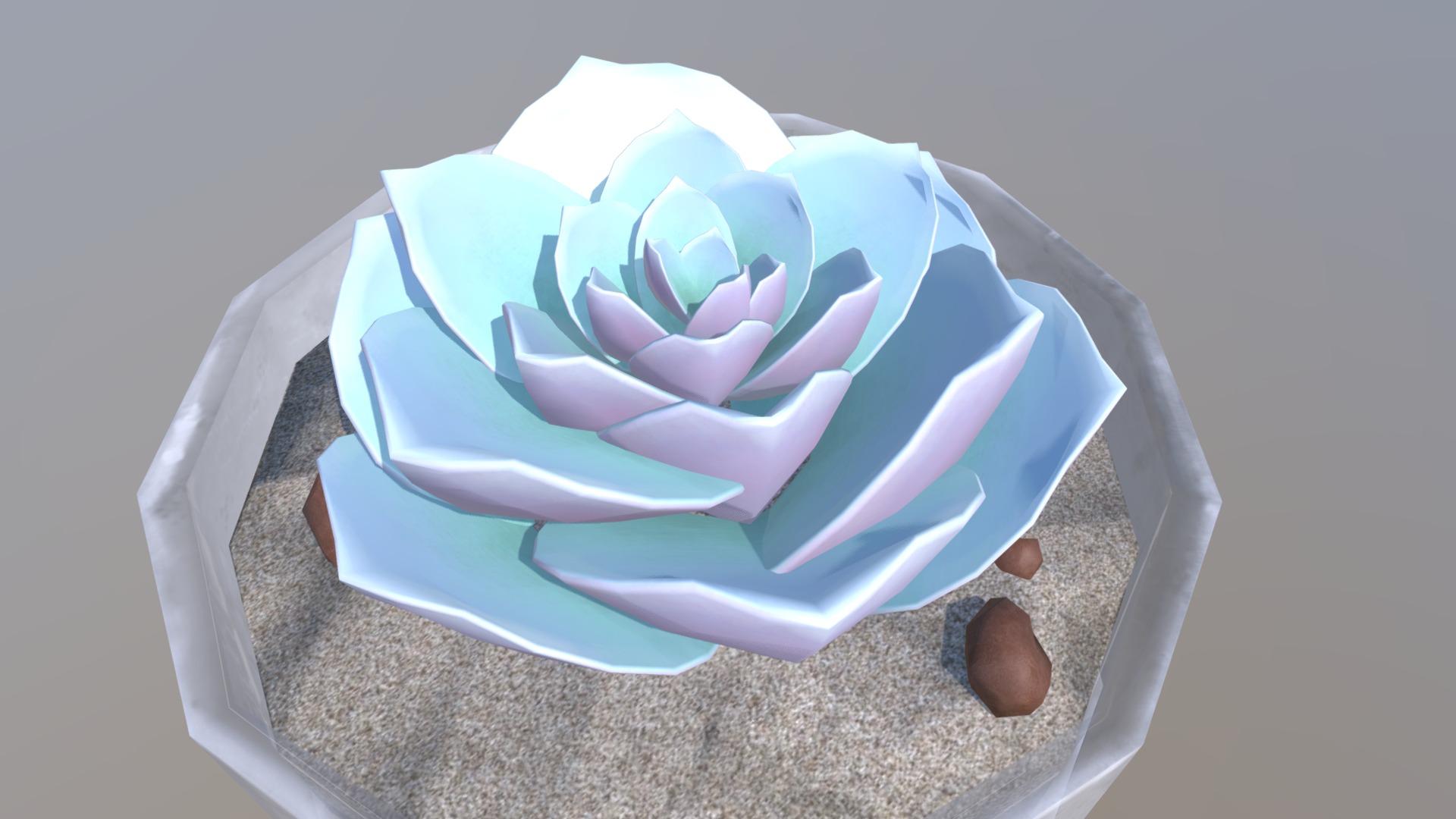 Glass Dish Pot Succulent Plant - 3D model by Kugatsu Tsukai 3D Model ...
