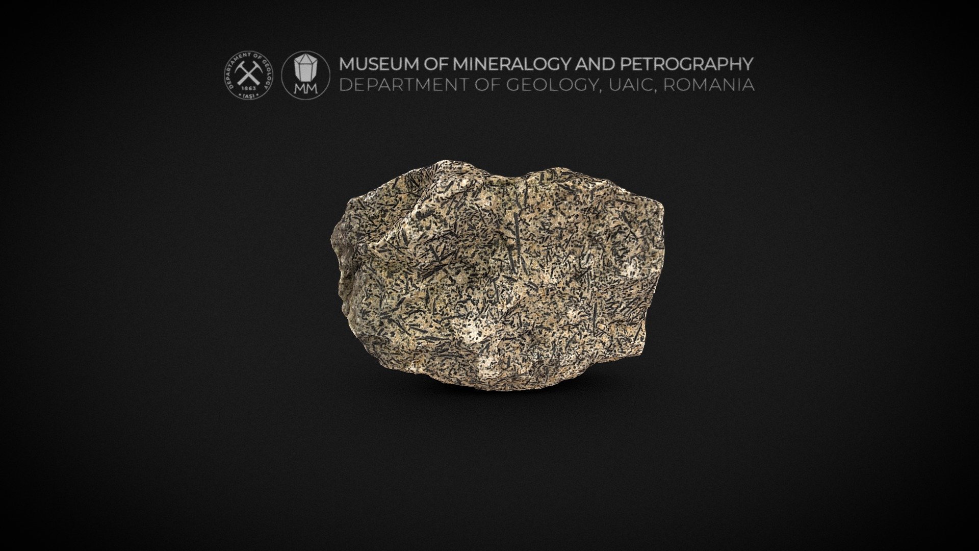 Diorite (+Dacite) (igneous rock), Romania - 3D model by Museum of ...