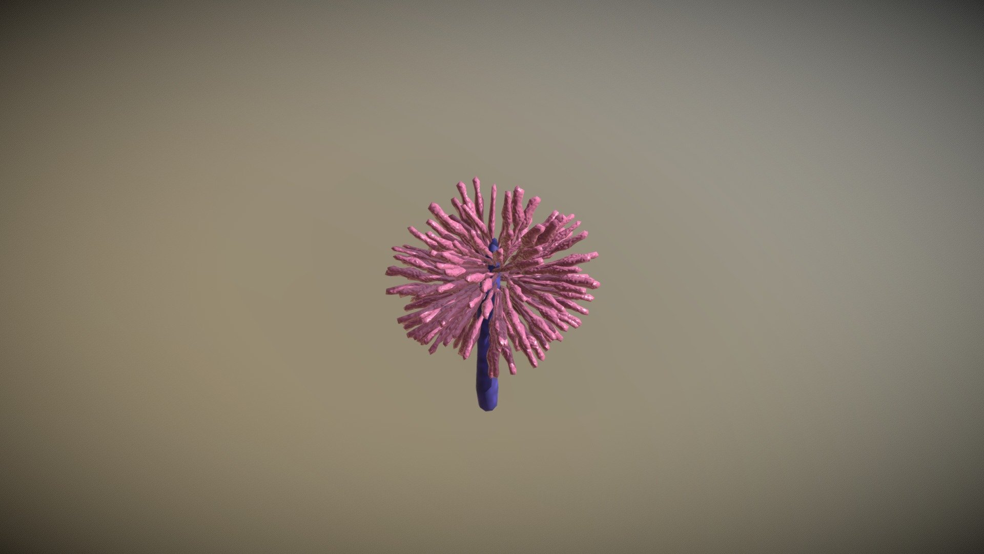 Aspergillus flavus - 3D model by aneeqayounas [320623d] - Sketchfab