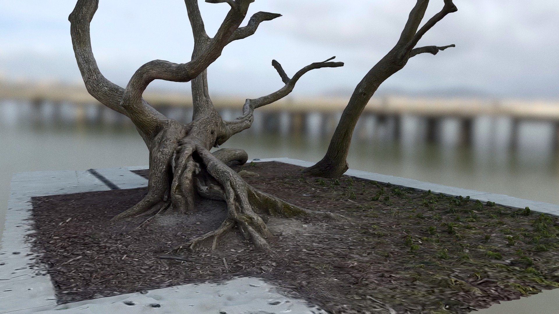 Catalpa Bignonioides Tree Photoscan - Buy Royalty Free 3D model by ...