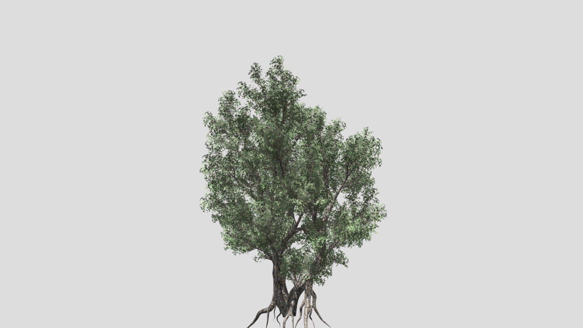 Tree (part4) - Download Free 3D model by YN14R [320f4e1] - Sketchfab