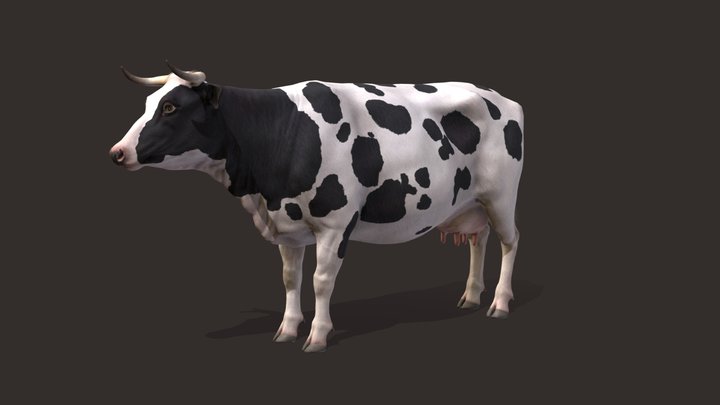 Cow 3D models - Sketchfab