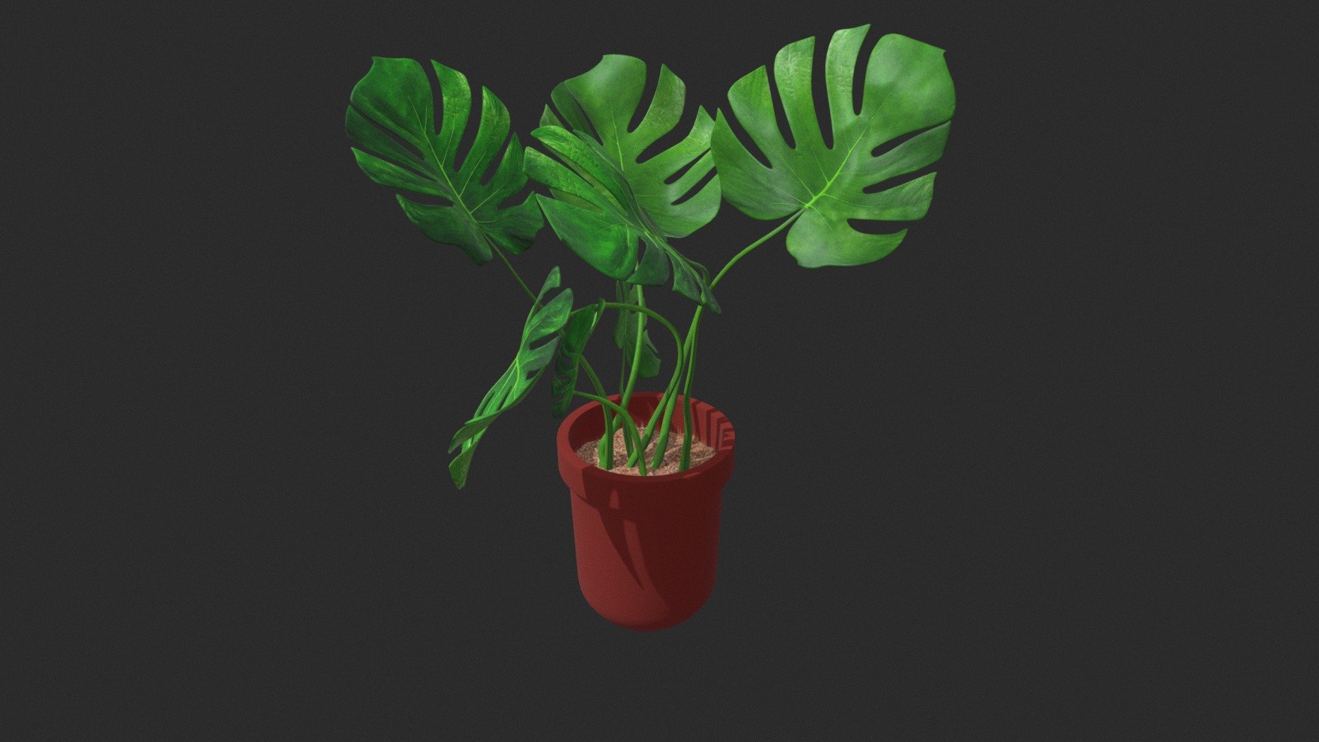 Monstera Deliciosa Leaf - Download Free 3D model by Shift4cube [321f1c0] - Sketchfab
