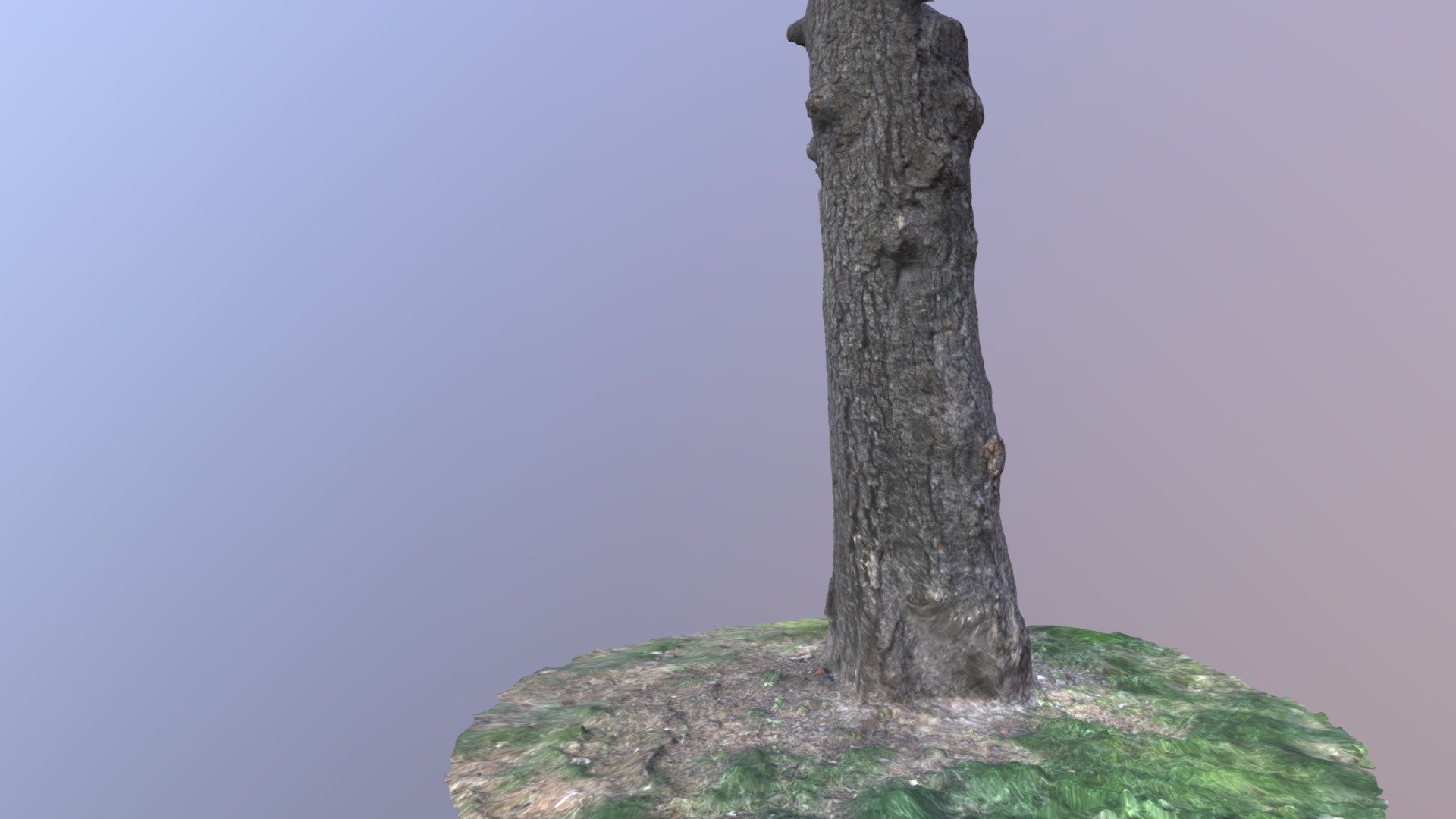 tree trunk - Download Free 3D model by okzq1234 [3224041] - Sketchfab