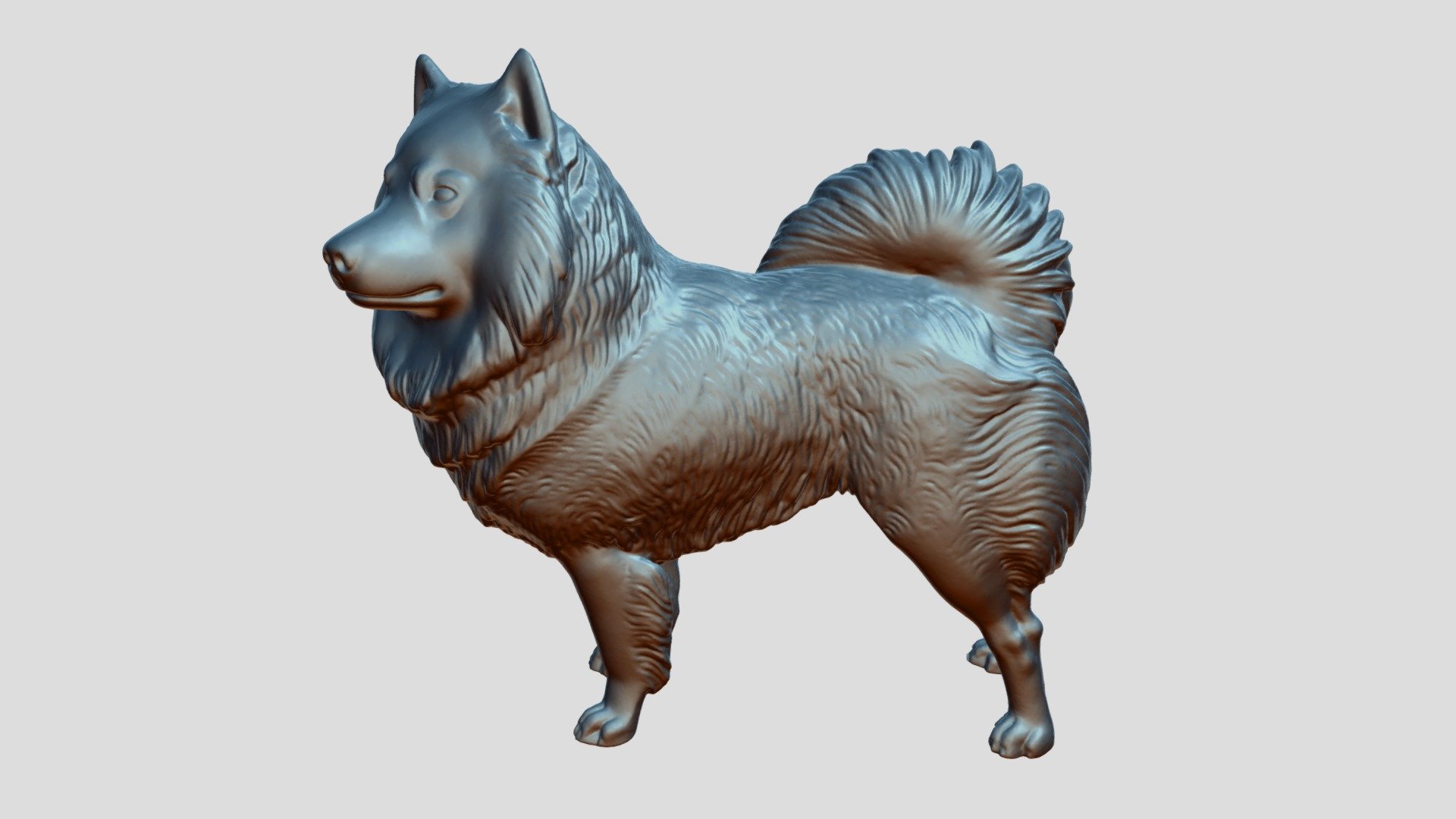 fluffy dog - 3D model by Kentaurette (@Kerstinrules) [3226a6e] - Sketchfab