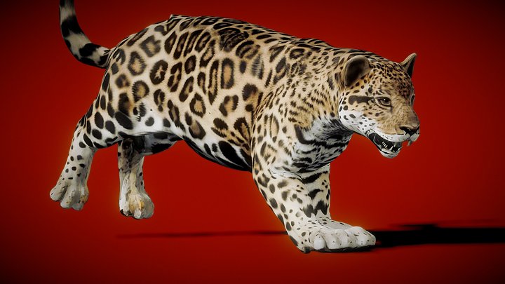Rain 3D models - Sketchfab