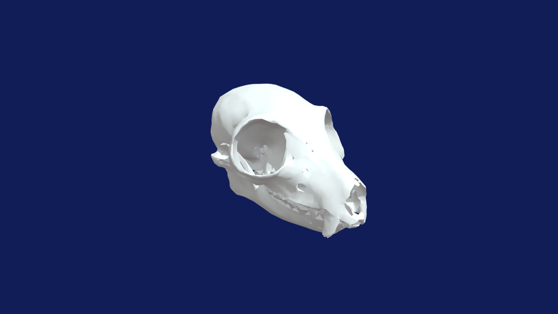 skull vr simplified - 3D model by gladmonkey [3246823] - Sketchfab