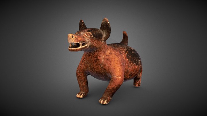 Xolo 3D models - Sketchfab
