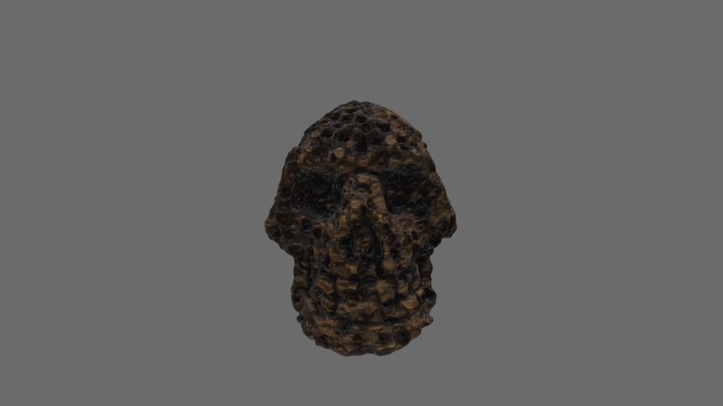 Volcanic Skull - Download Free 3D model by connorzelinsky [324808c ...