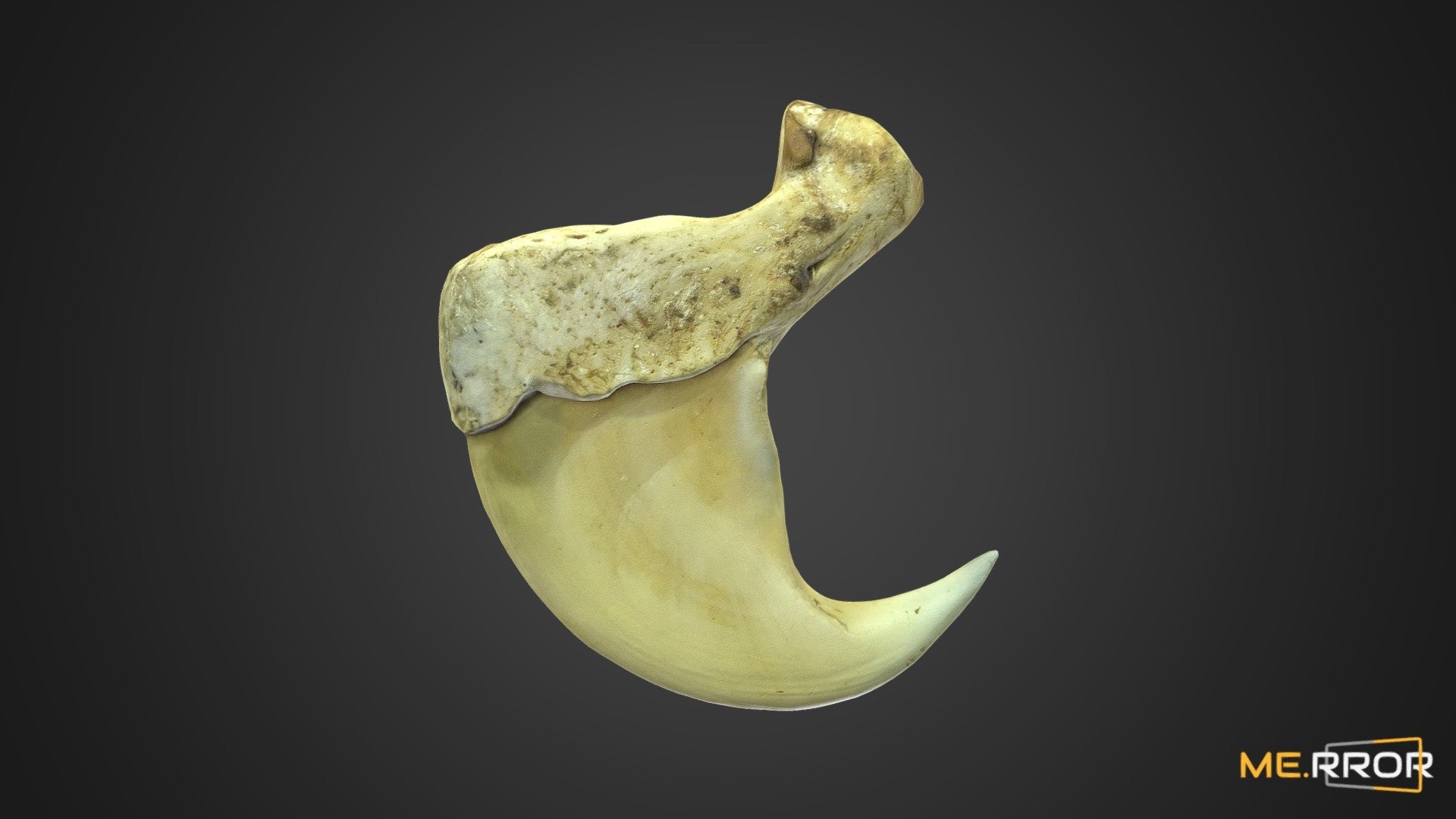 [Game-Ready] D_Teeth - 3D model by ME.RROR Studio (@merror) [324cfd1 ...