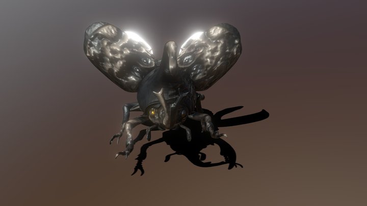 Beetle 3D models - Sketchfab