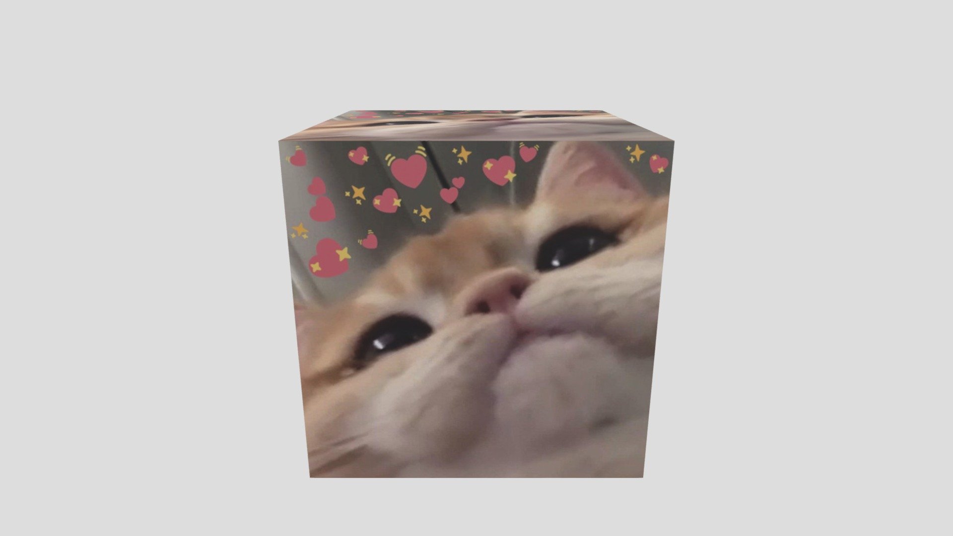 Cat Cube - 3D model by Baarboosa [325445e] - Sketchfab