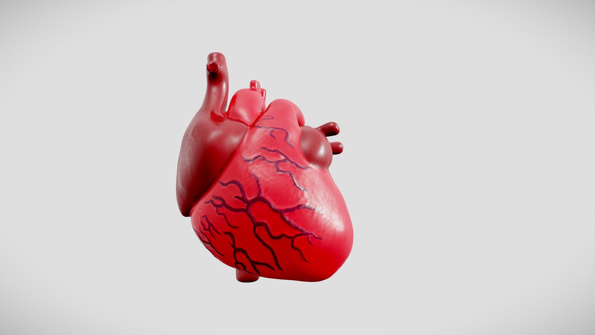 Human Heart Organ - 3D model by QuantumBerry [3254de4] - Sketchfab