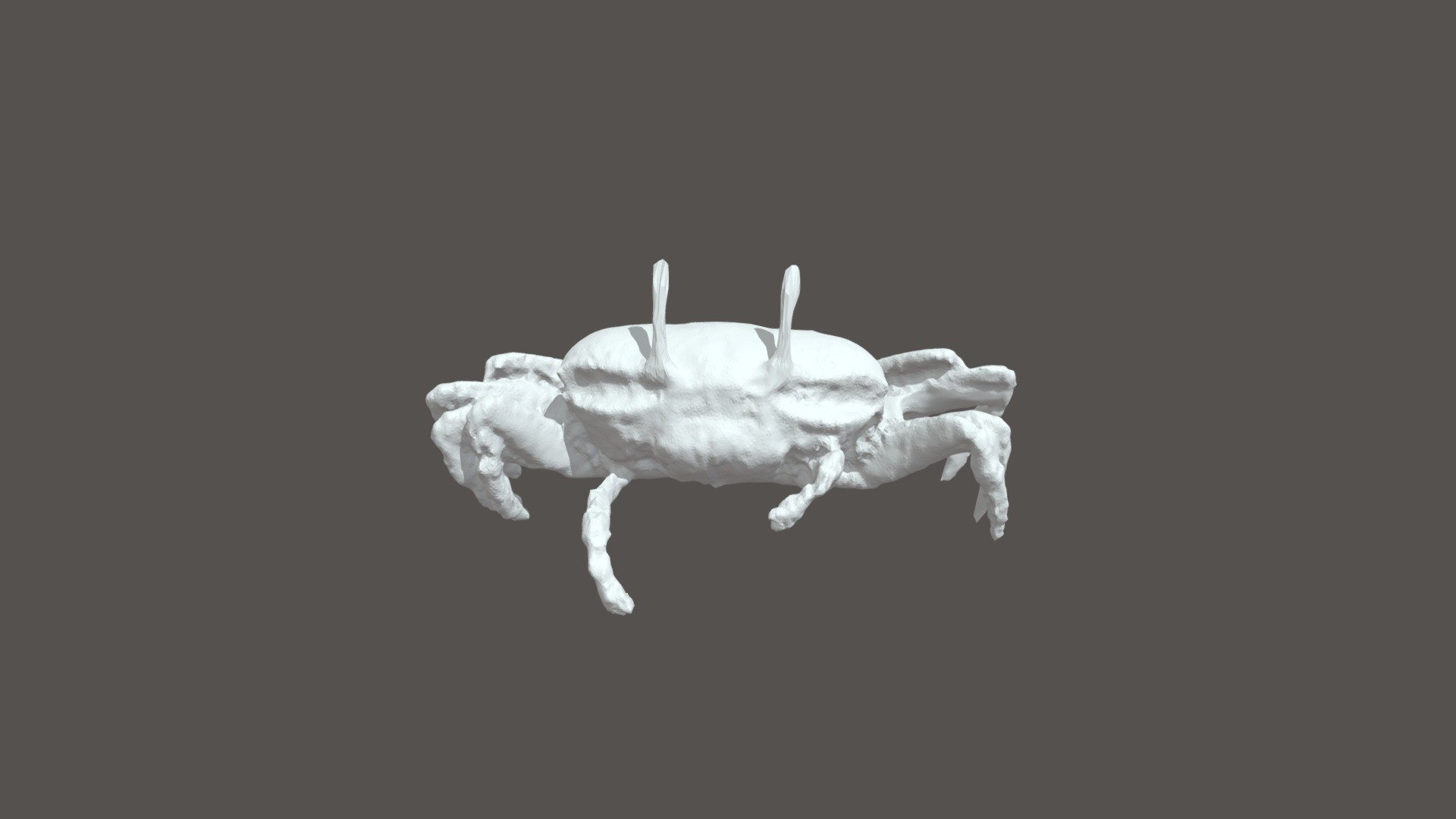 FIDDLER CRAB - Download Free 3D model by Sawaporn.Tipparat [325d638 ...
