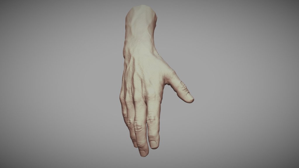 Hand - A 3D model collection by djon123 - Sketchfab
