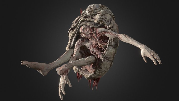 Shell 3D models - Sketchfab
