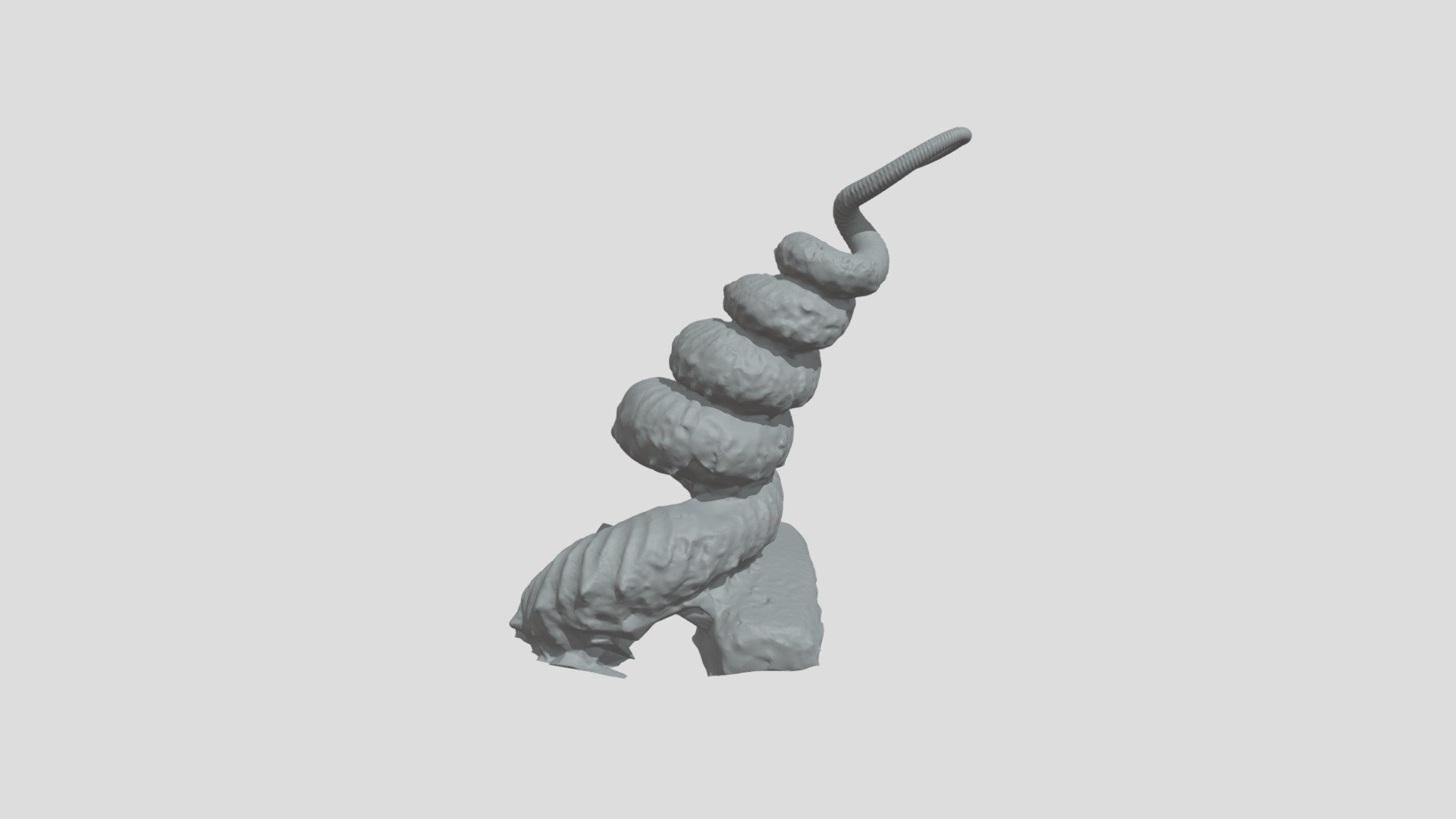 Didymoceras stevensoni Composite - 3D model by David Peterman ...