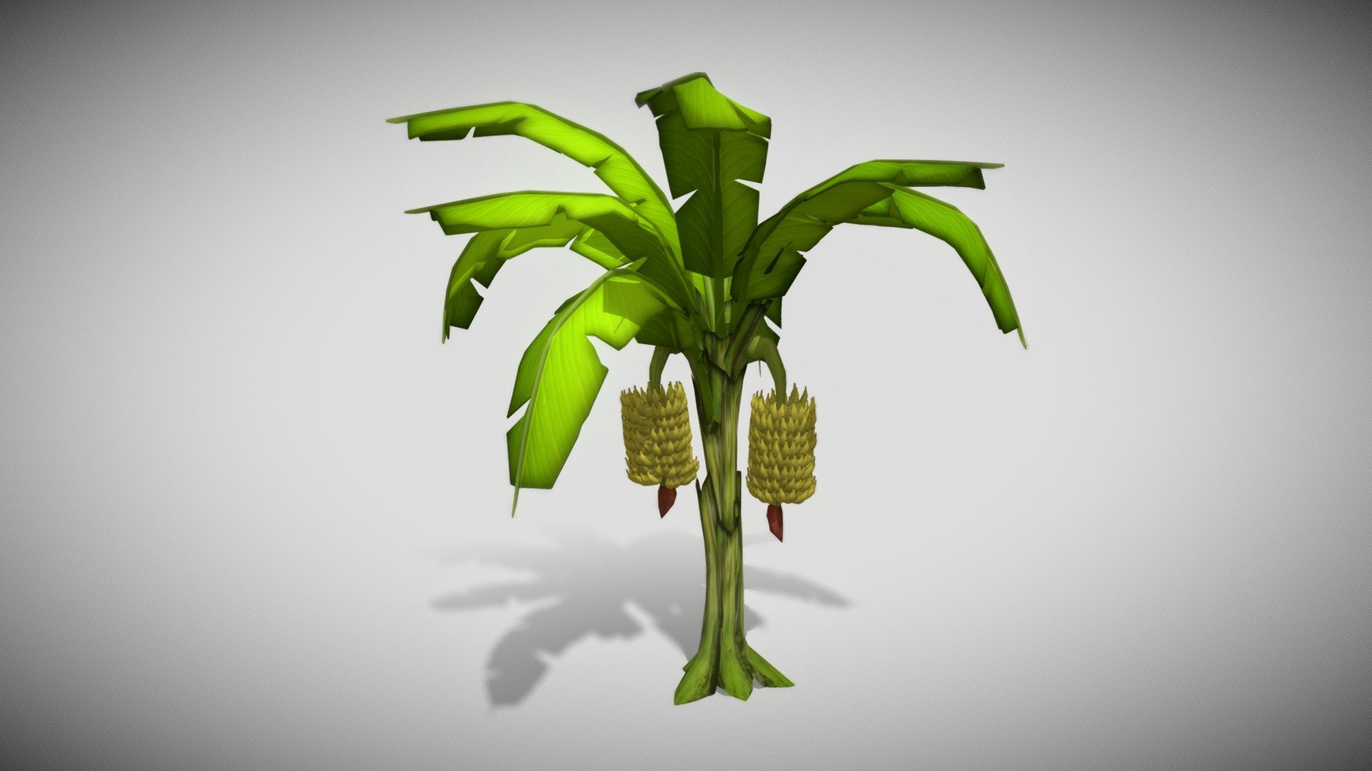 Banana Tree - 3D model by ubnilluminati [3275d1c] - Sketchfab