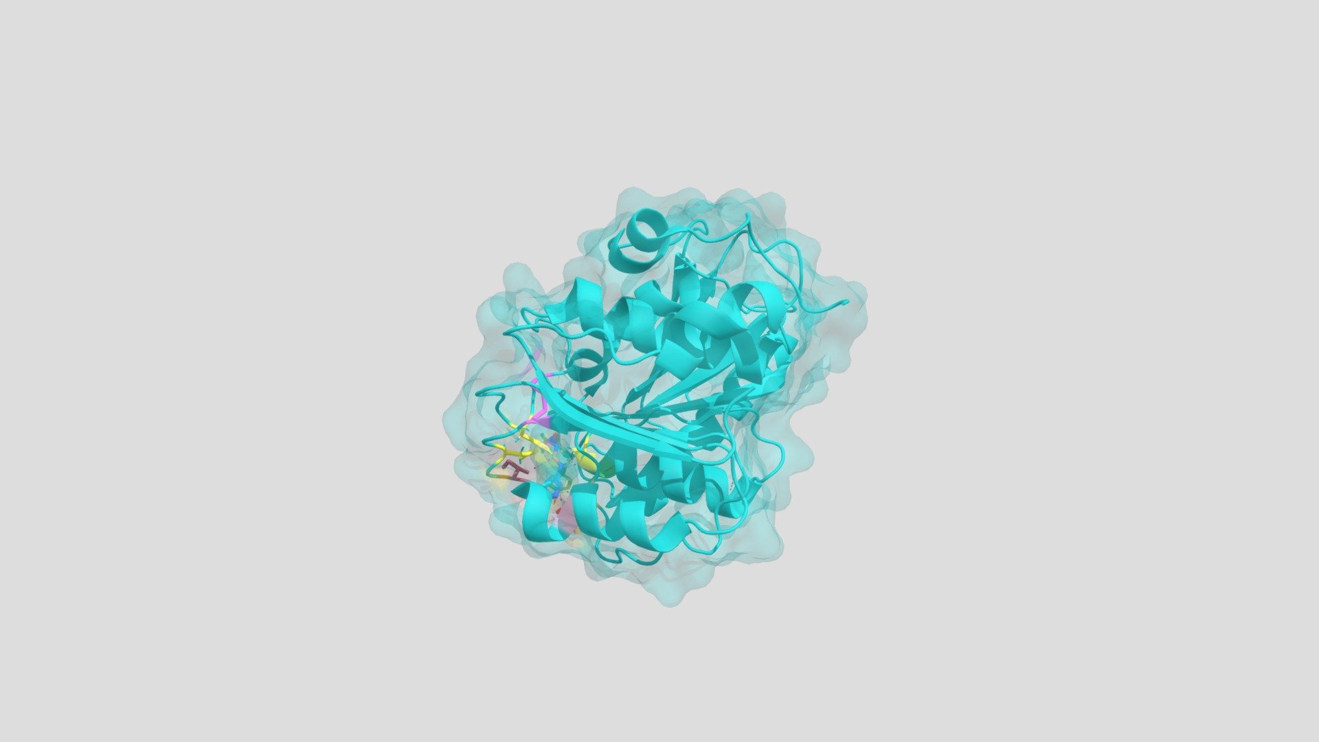 PETase - 3D model by harnot [327893b] - Sketchfab