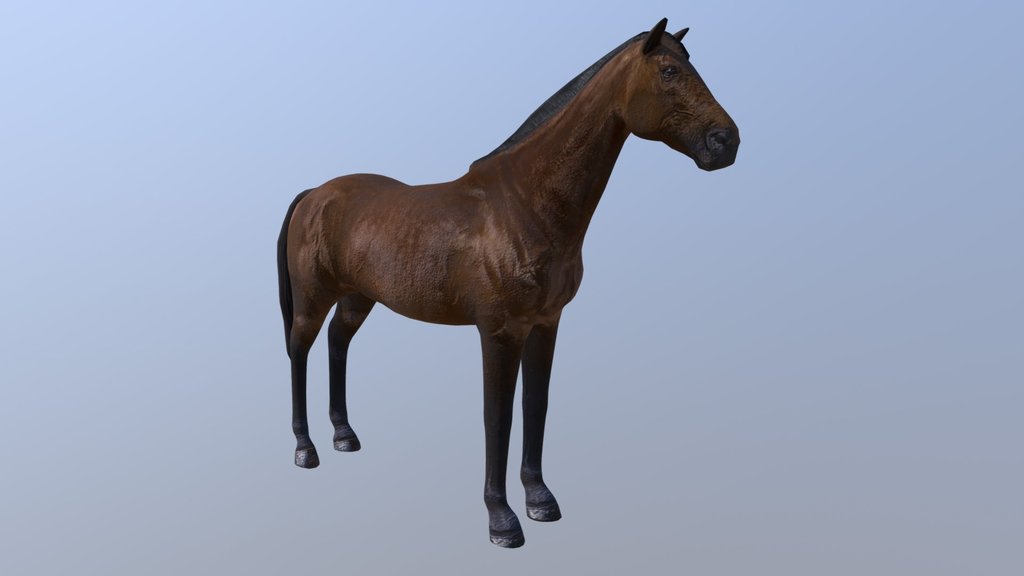 Horses - A 3D model collection by DenysPogomiy - Sketchfab