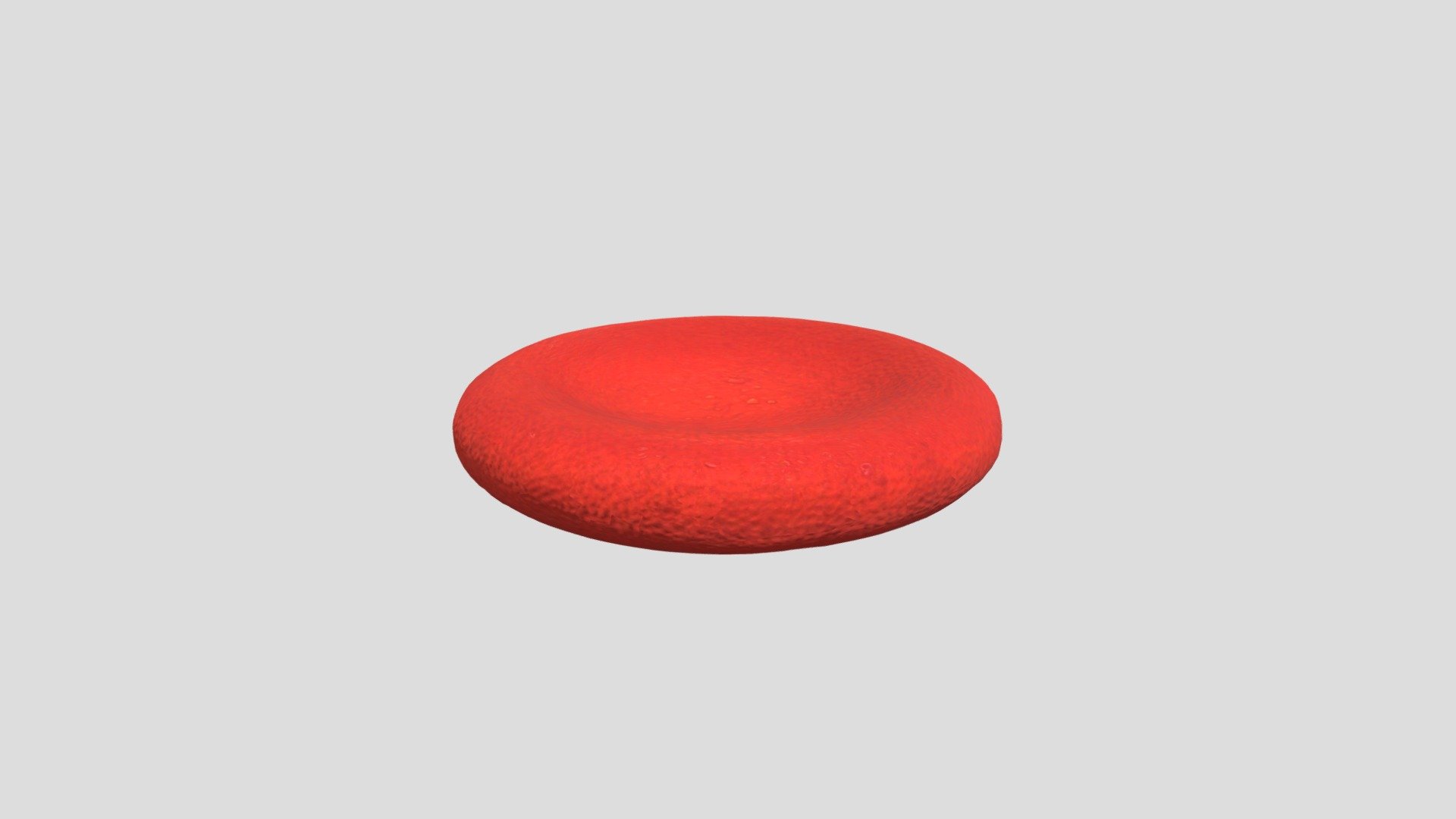 red blood cell - Download Free 3D model by gcesalemcollege [327b155 ...