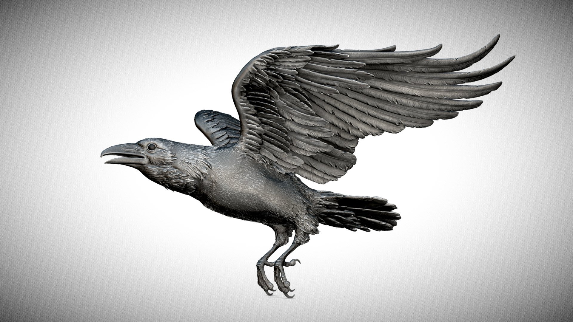 Crow_fly - 3D model by BreathTime [3280a54] - Sketchfab