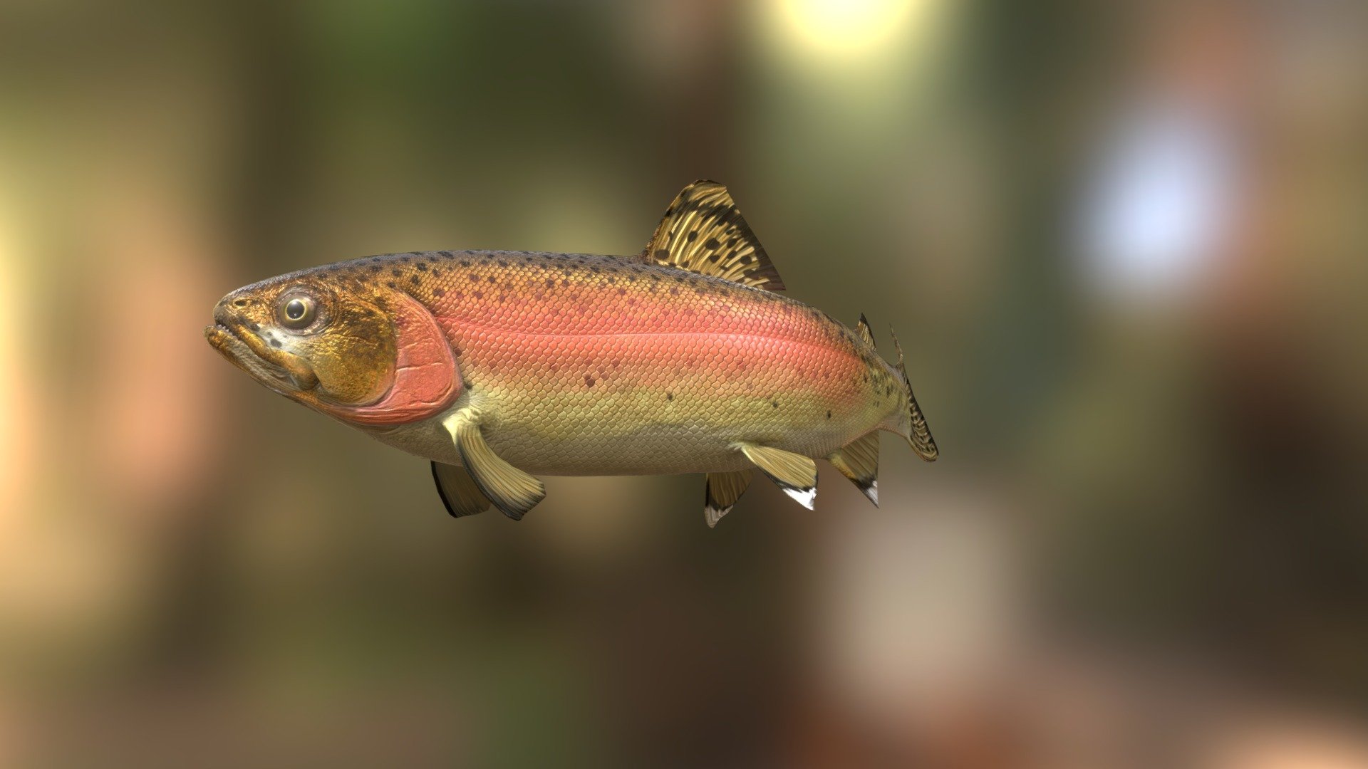 Lahontan Cutthroat Trout - Download Free 3D model by ucdavisterc ...