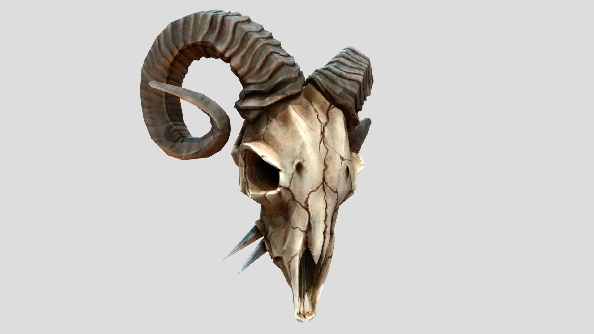 Rams Skull - Buy Royalty Free 3D model by luxe3dworld [328f022 ...
