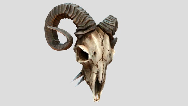Anatomy-reference 3D models - Sketchfab