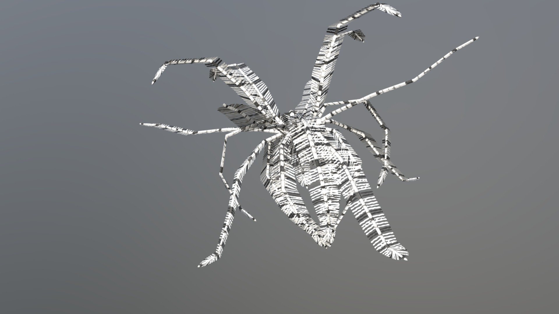 feather star - 3D model by loal1713618 [329002b] - Sketchfab