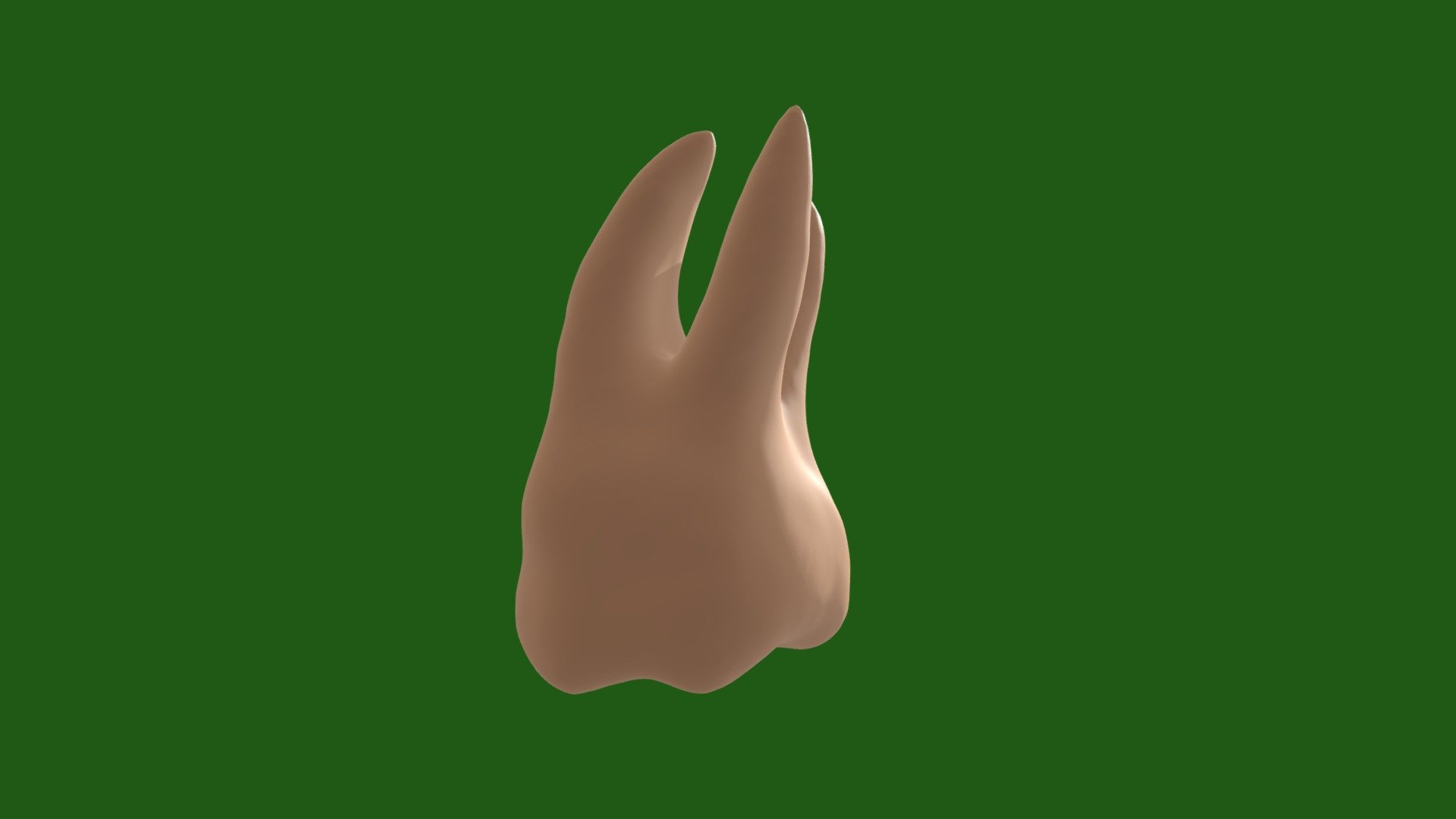 Wumdentistry_tooth_27 - 3D model by wumdentistry [329a3ab] - Sketchfab