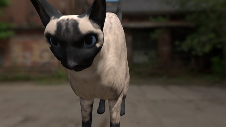 Siamese 3D models - Sketchfab