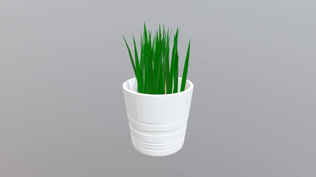 Simple plant - 3D model by Andough [329efa0] - Sketchfab