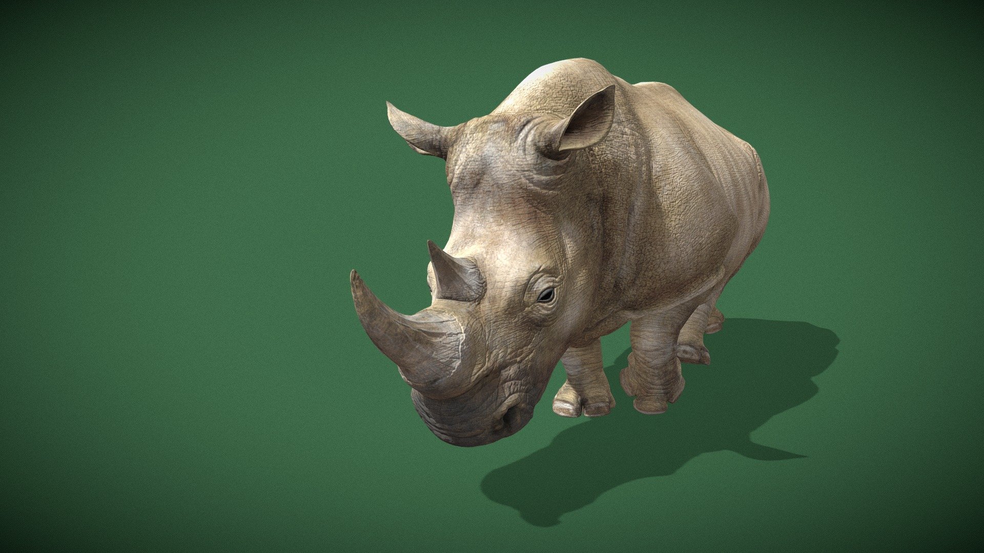 Animated Rhinoceros Walking Animal Loop - Download Free 3D model by ...