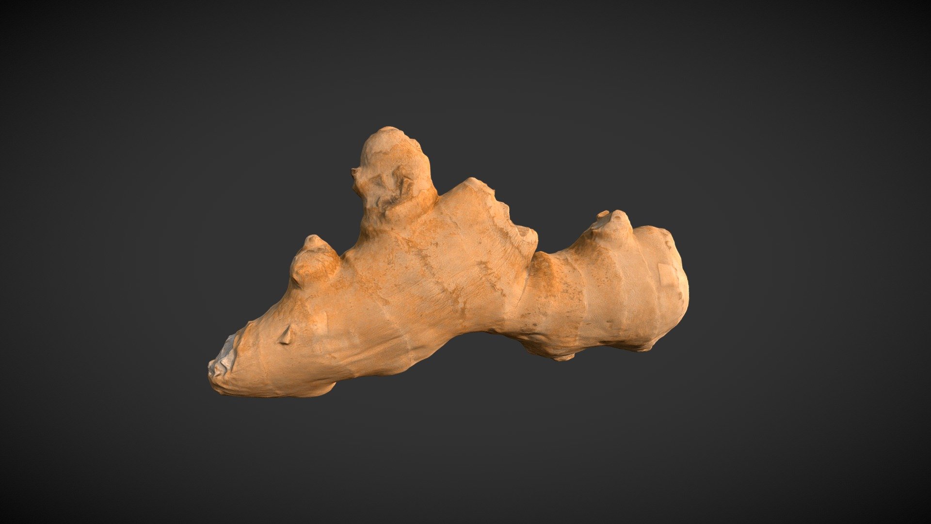 Ginger Root 03 3D Scan - Buy Royalty Free 3D model by 3DScanX [32acf4c ...