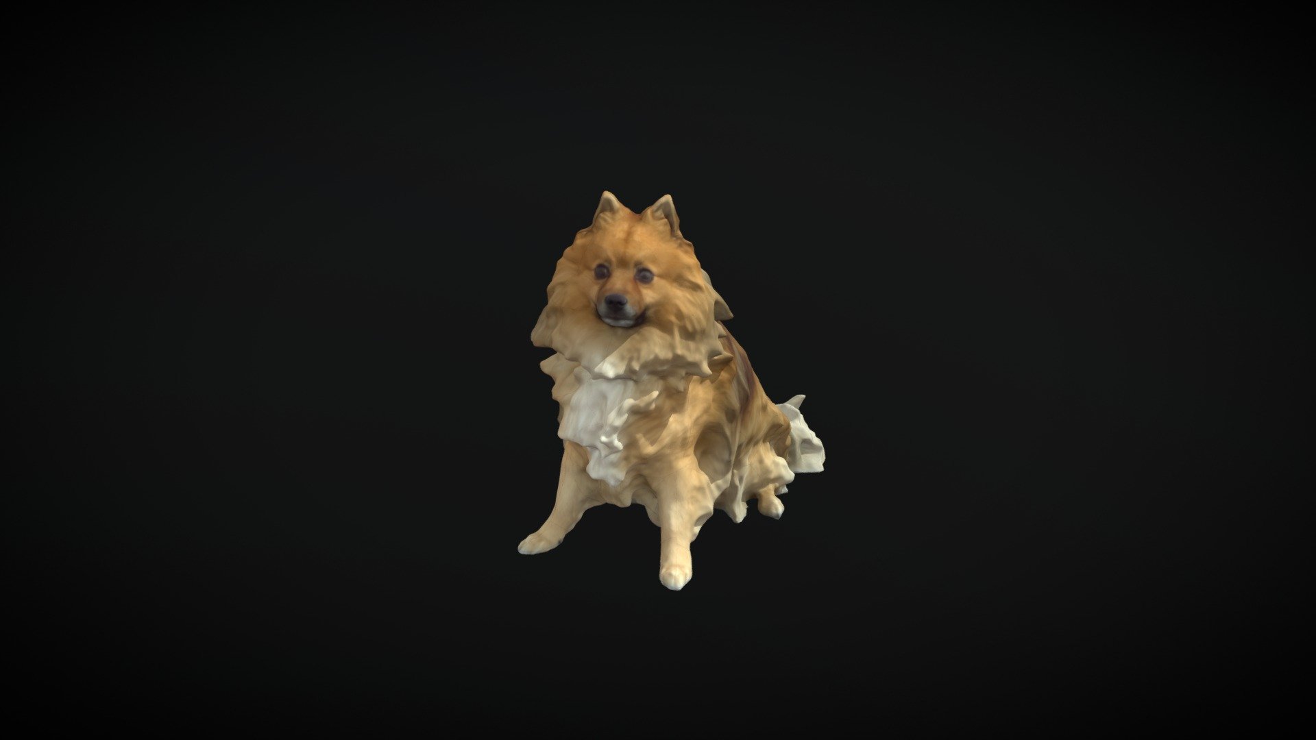 Coco - 3D model by Garma_Z [32bd84c] - Sketchfab