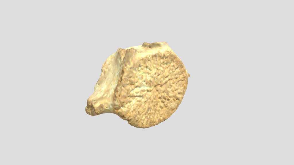 To 3D Print A 3D Model Collection By Terrie terrielsimmons Sketchfab to-3d-print-a-3d-model-collection-by-terrie-terrielsimmons-sketchfab