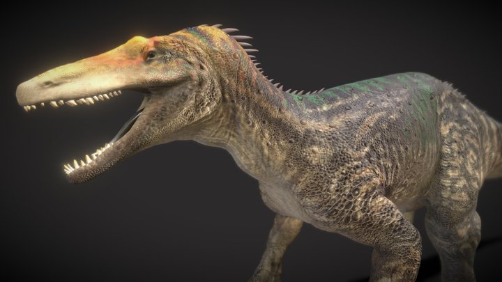 Megaraptor 3D models - Sketchfab