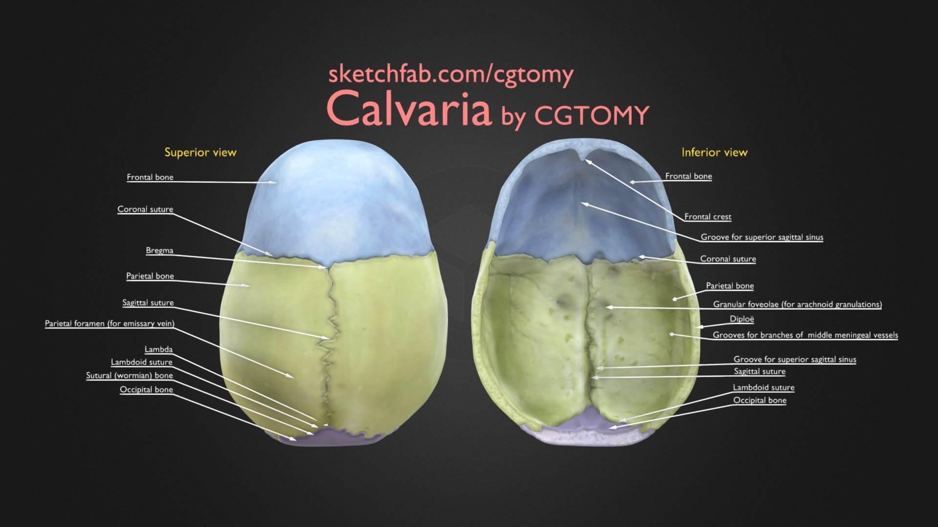 Calavaria - Buy Royalty Free 3D model by CGTOMY [32d1b88] - Sketchfab Store
