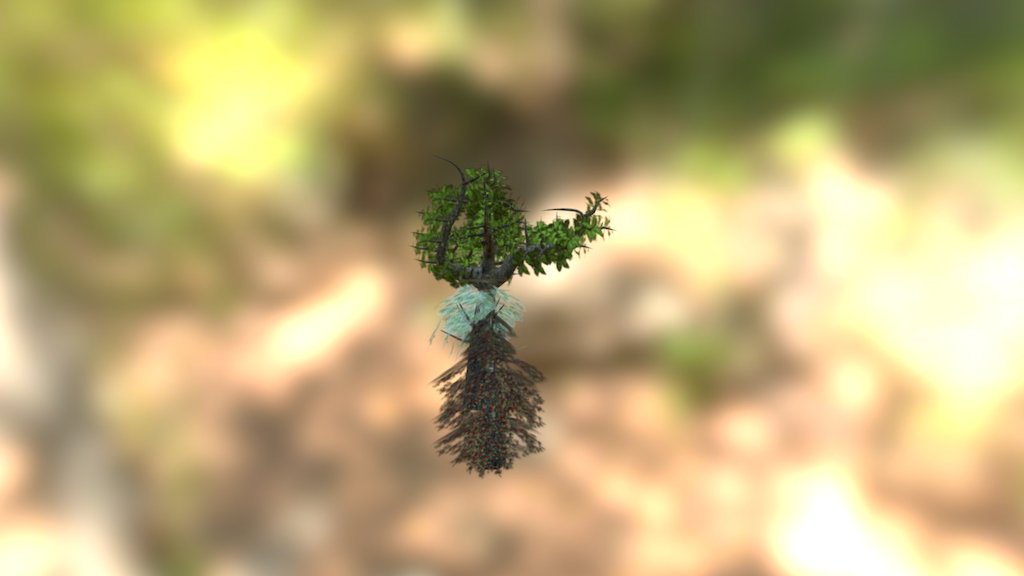 Low, mid and High poly Trees - 3D model by laloking360 [32d4de0 ...