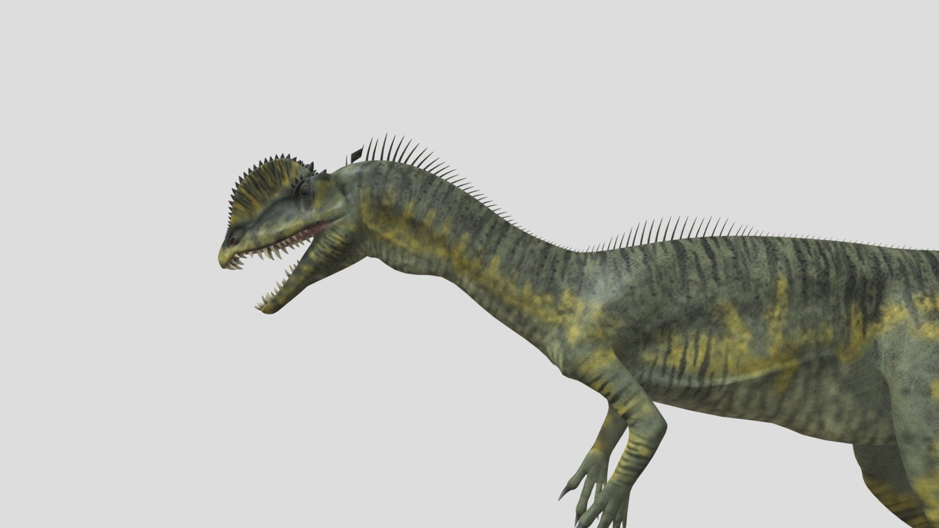 Dilophosaurus - Download Free 3D model by dinoguy263allo [32ed5b9 ...