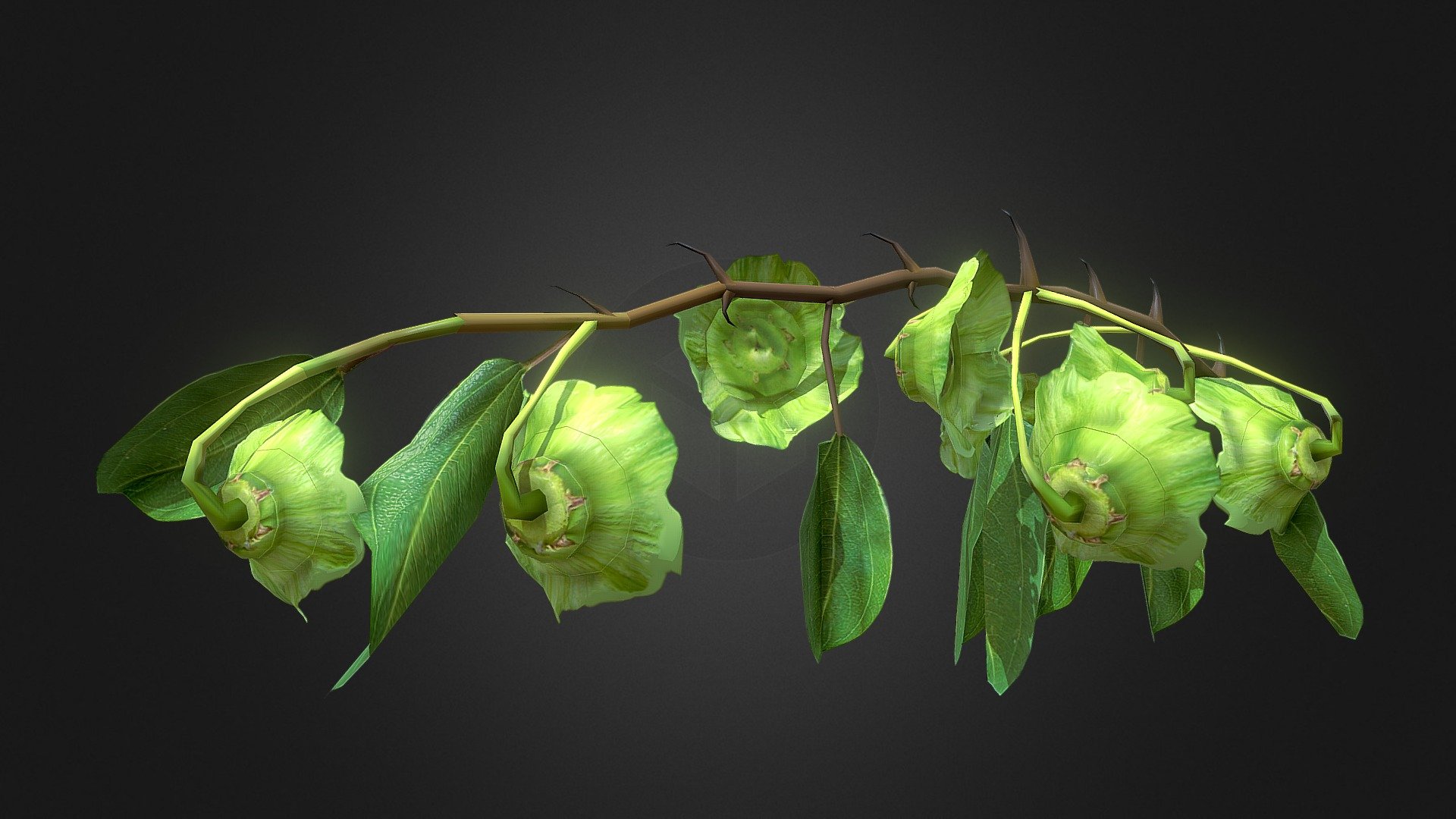 Draca - 3D model by zlatkica [32ee2a9] - Sketchfab