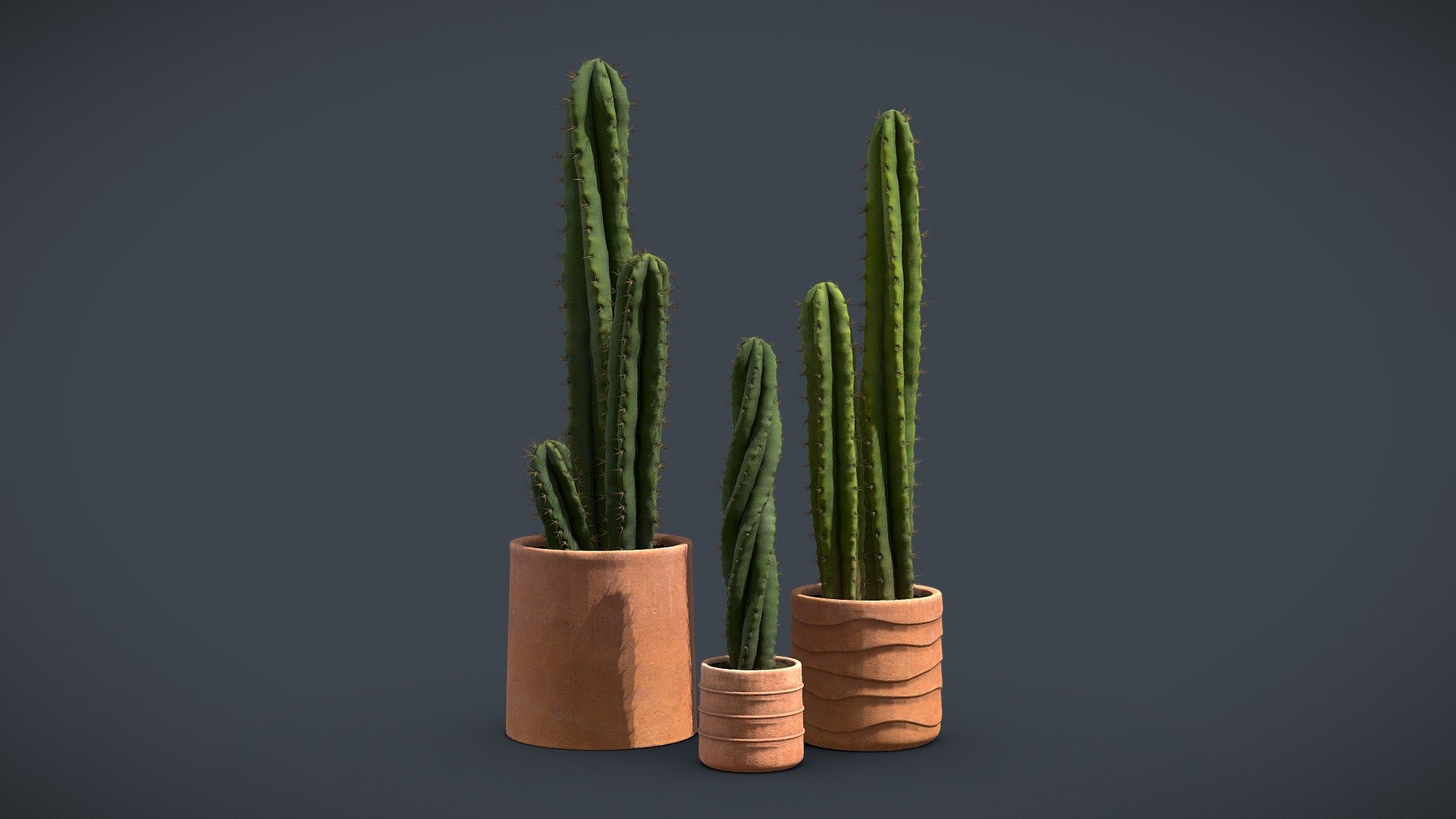 Cactus Pack - Buy Royalty Free 3D model by AllQuad [32f3770 ...