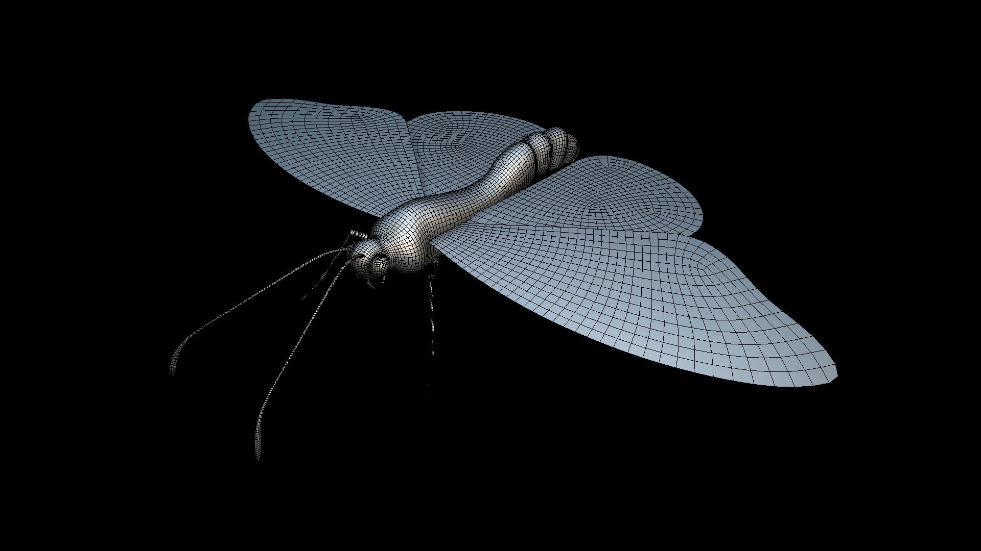 butterfly - Download Free 3D model by Shapoval Semyon (@shapoval_semyon ...