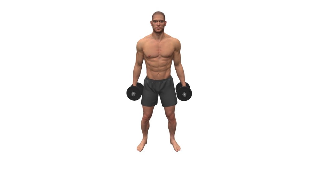 Dumbbell Single Arm Front Raises - 3D model by gymsterapp [32fb1cd ...