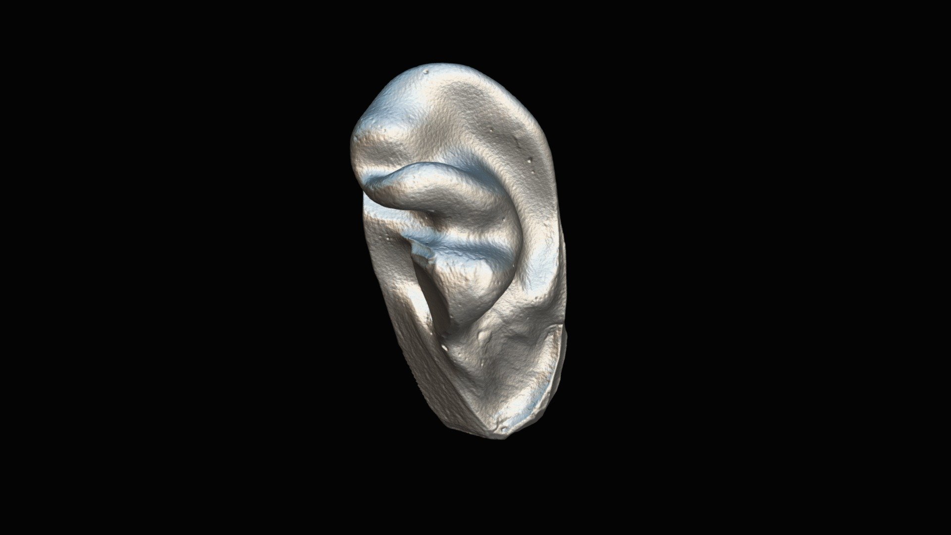 Ear - Download Free 3D model by thunk3d.scanner [330c703] - Sketchfab