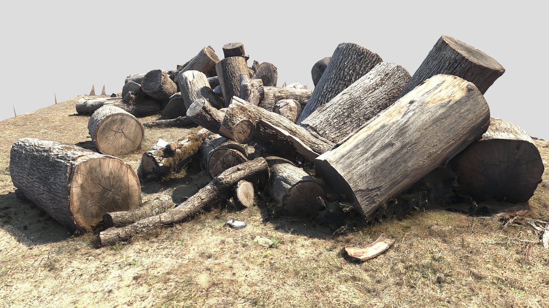 woods - Download Free 3D model by aysenur [3313b89] - Sketchfab